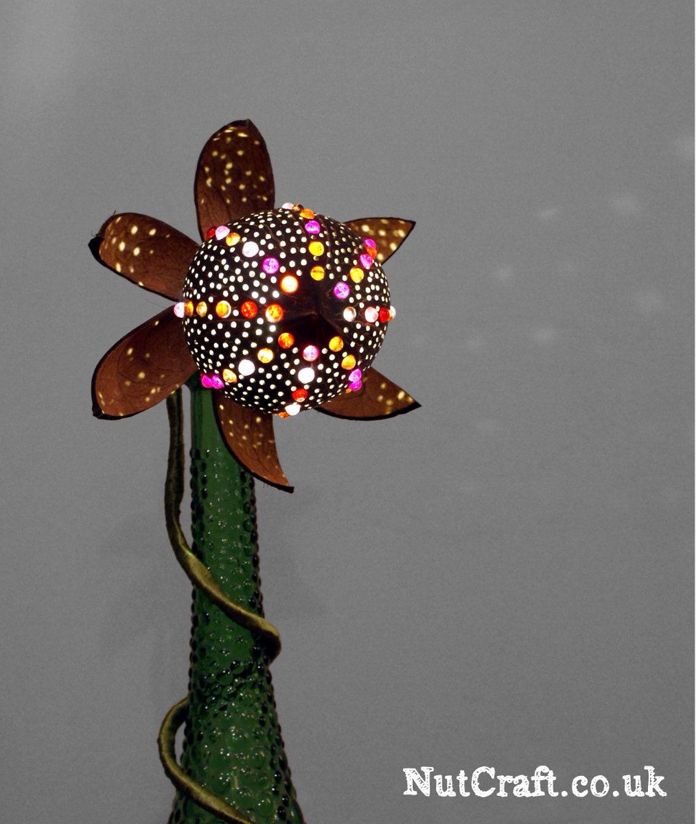 nutcraft (@NutCraftUK) | Twitter