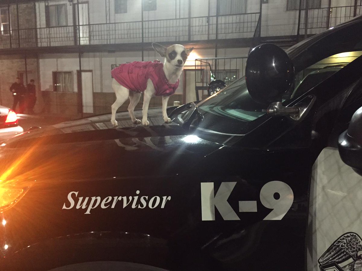 Spokane history photo police station at 3rd and brown - friendlynibht