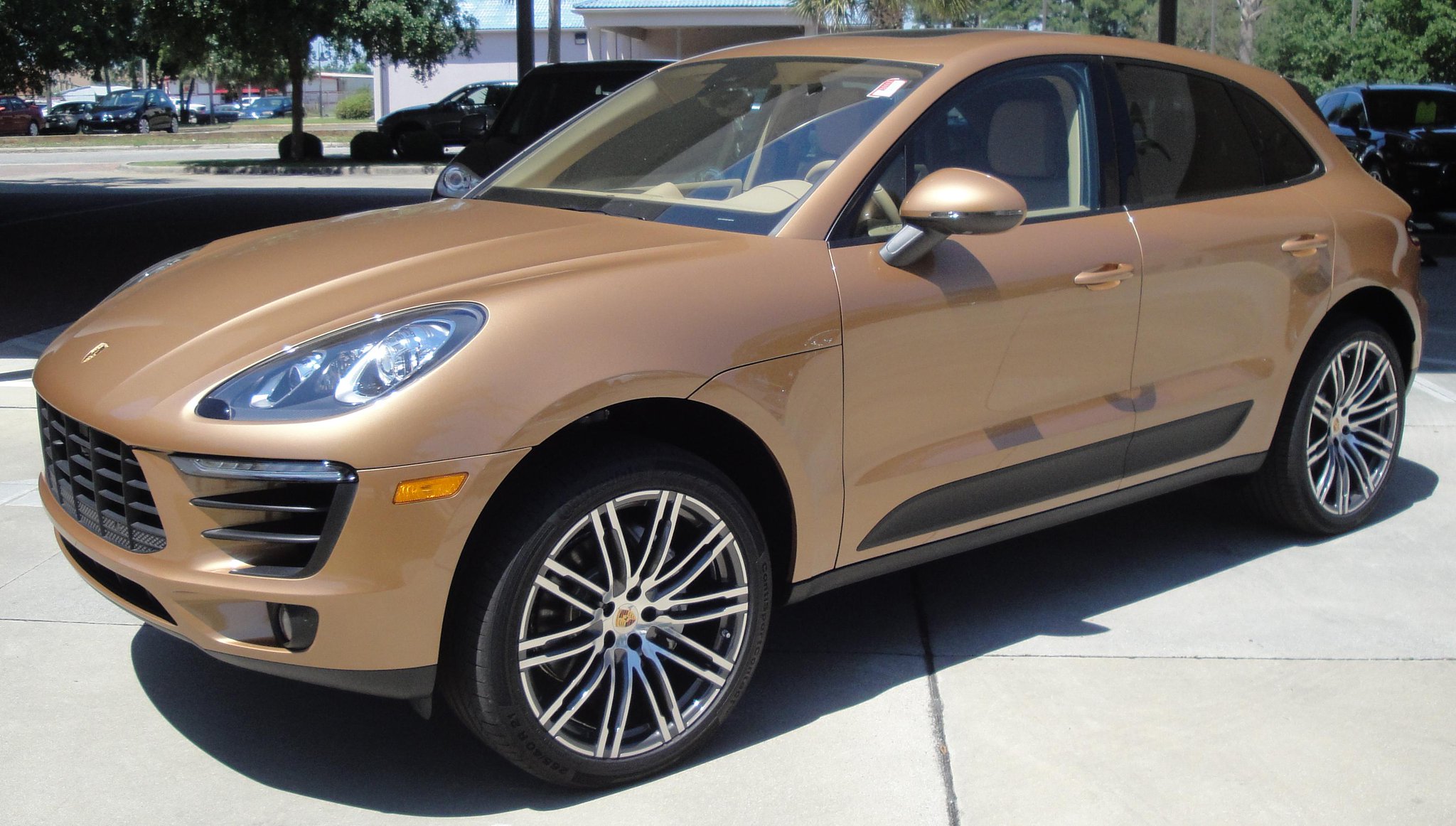 Palladium Metallic Color