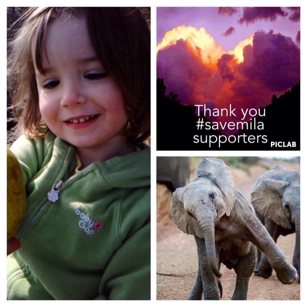 Jeff Moskowitz's Instagram, Twitter & Facebook on IDCrawl