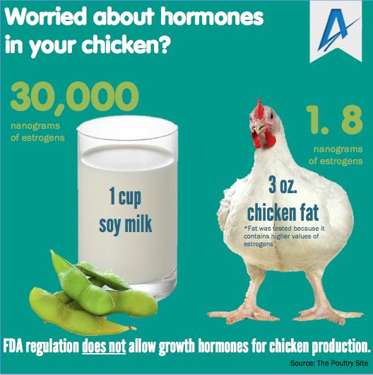Hormone Chicken