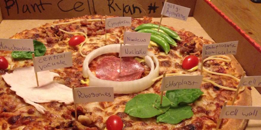 Cliff Pickover on Twitter: "Plant Cell Pizza Model by Ryan. https://t ...