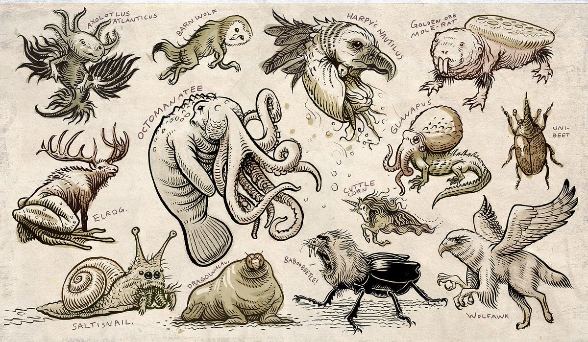 Two Animals Combined Drawing