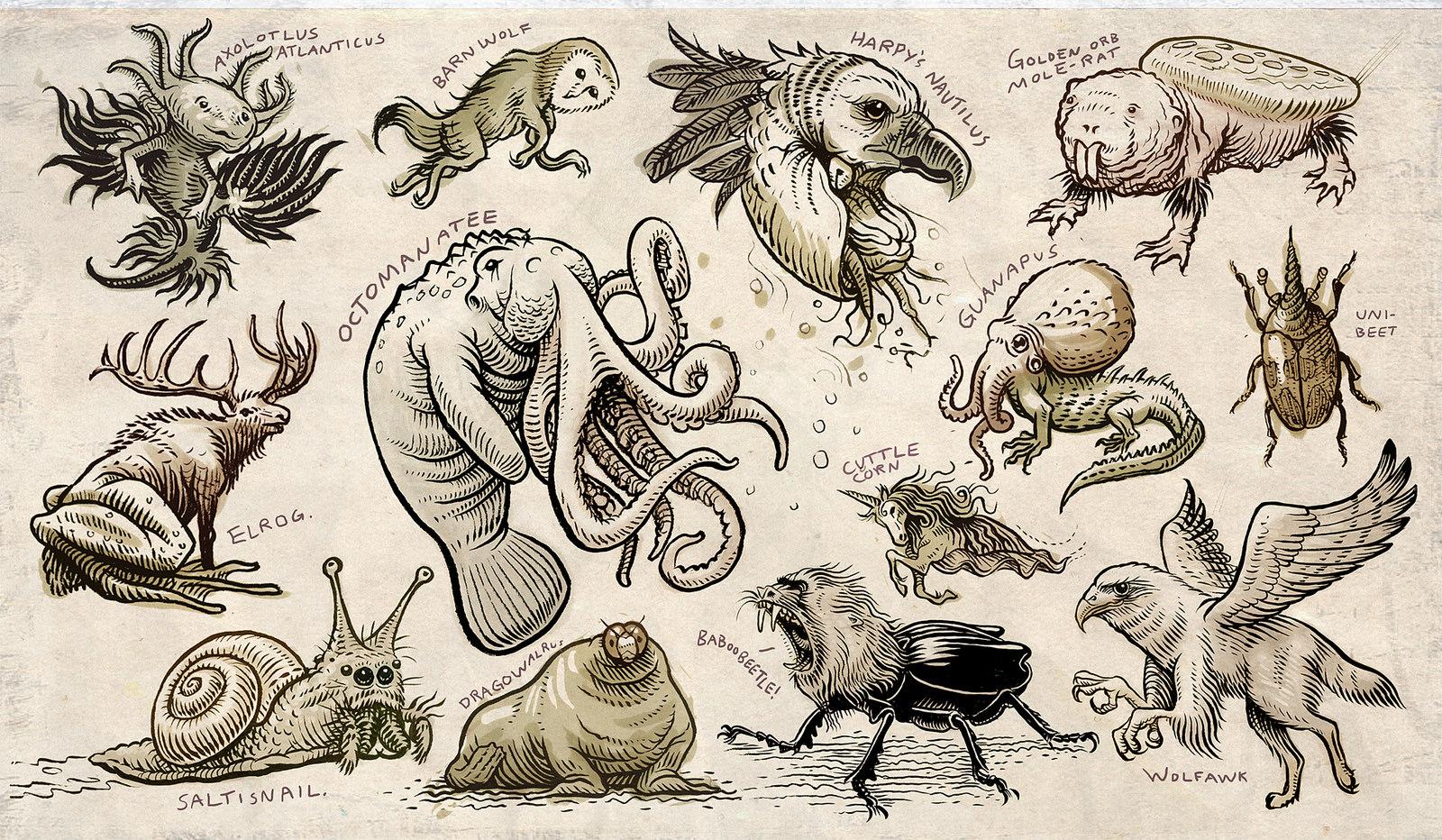 Two Animals Combined Together