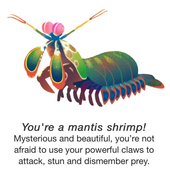 Mantis Marina Memes