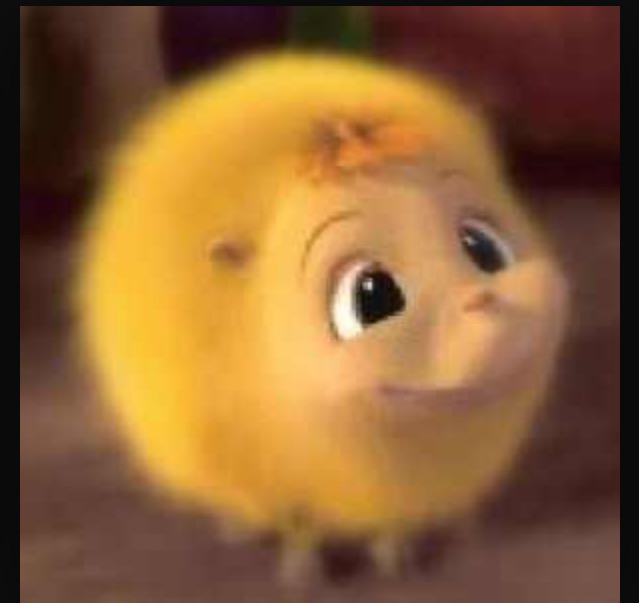 Yellow Puff Ball
