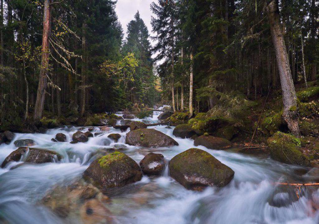 TUGİ on Twitter: "Thankyou #Goodmorning @fadeeva9 @almalah1411 @ANASTALYA @ZehirulKebir ...