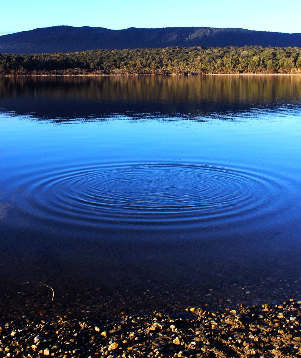 Lauren Poore (@lauren_poore) | Twitter