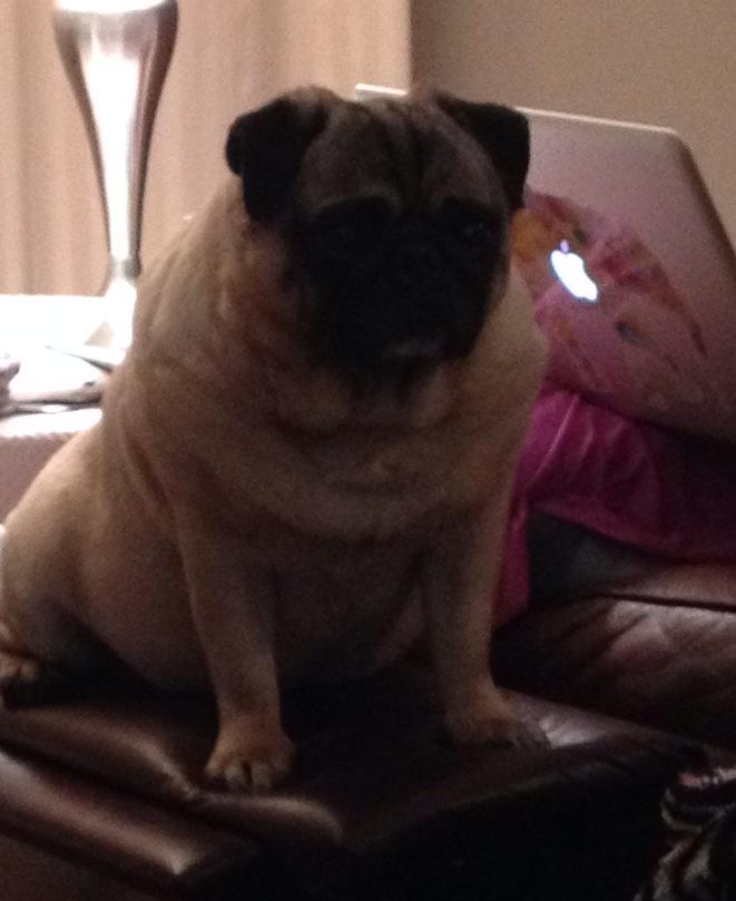 Jonathan Morrell (@KnightBat118) | Twitter