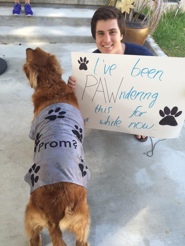 Puppy Prom Proposal