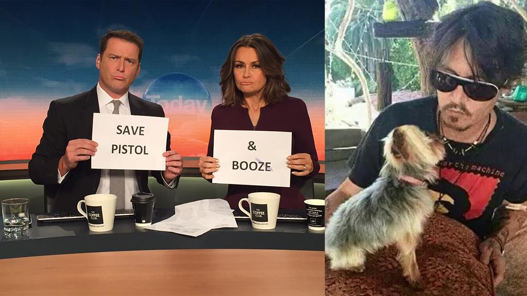Help us save #johnnydepp's dogs pistol & boo. #savepistolandboo # ...