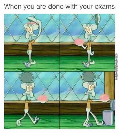 After Exam Memes