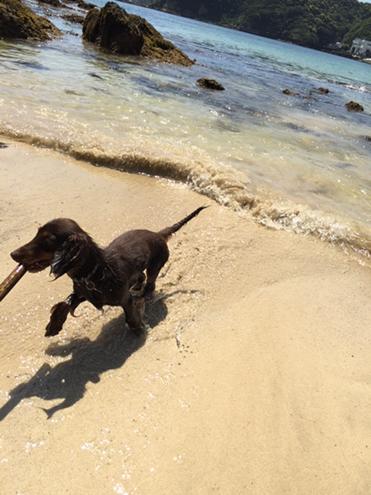 voiceplus (@voiceplus_) | Twitter