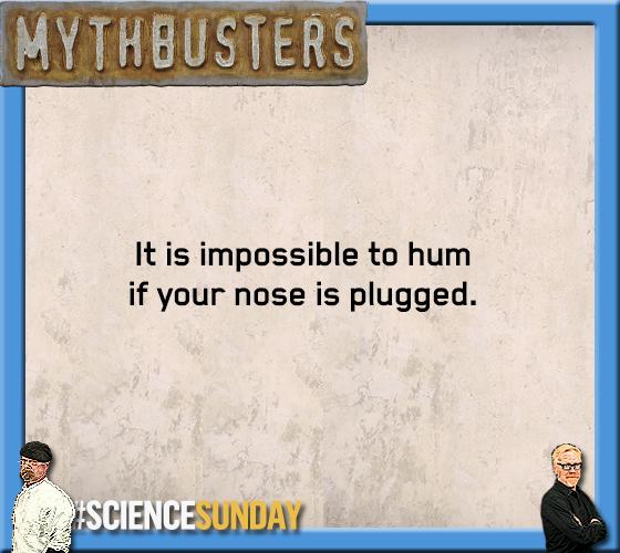 Mythbusters Plausible Logo