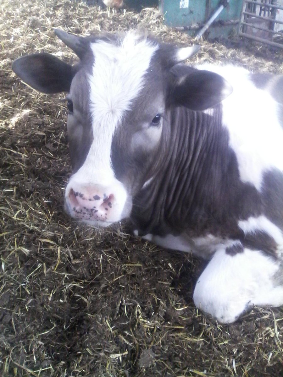 Meg Connors (@MeganConnors9) | Twitter