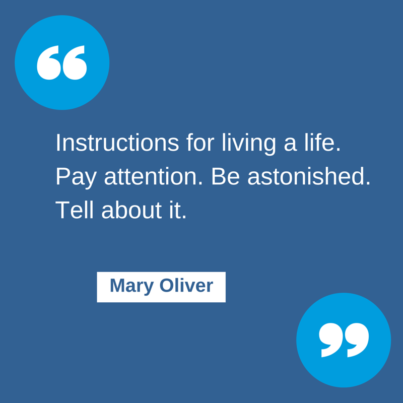 Code Collaborative (@codeCollab) | Twitter