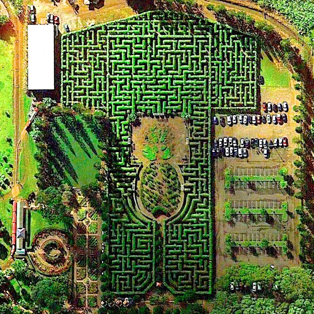 Dole Pineapple Plantation Maze Dole Pineapple Plantation Wahiawa,