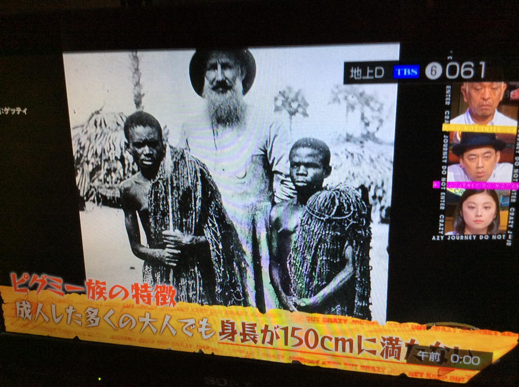 【閲覧注意】天使の歌声を持つ『ピグミー族』の悩みは他部族に食べられてしまうこと→は？ 2ページ目 Togetter [トゥギャッター]