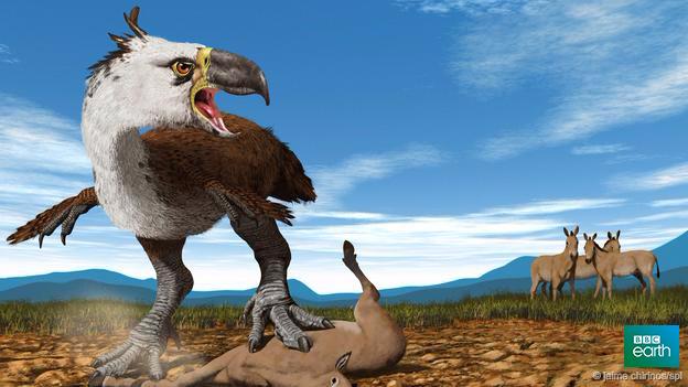 Phorusrhacids were up to 3m tall, ran at 50km/hr and could swallow a ...