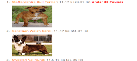 What Dog Breeds Are Under 30 Pounds