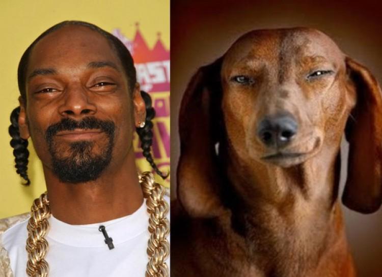 Celebrities That Look Like Animals