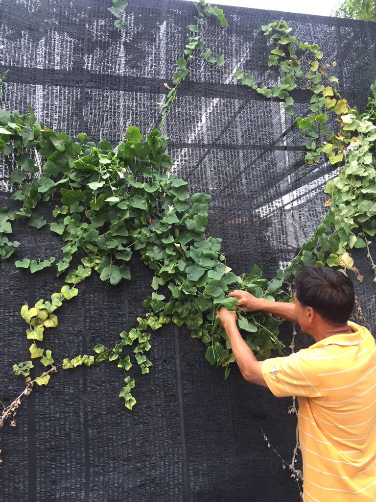 ploy (@ploy_thana) | Twitter