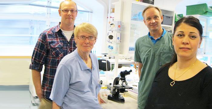 Meet Dr. Randa Akoury, Swedish Lebanese, who participated in world's ...