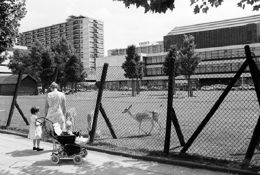 Vanwege de C70 expositie in 1970 was er een tijdelijke kabelbaan in ...