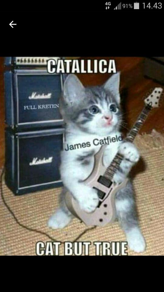 Metallica Cat Memes Metallicat Meowster Of Purrpets Cat T Shirt