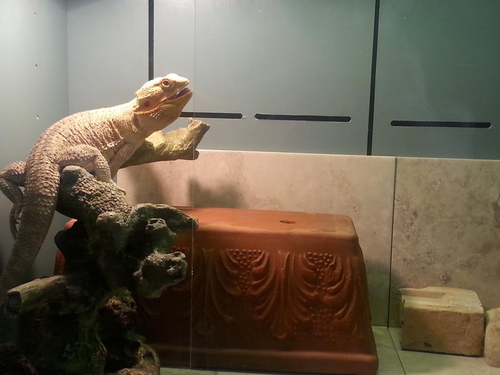 Killer Tables on Twitter: "@PetDIYs Thanks! http://t.co/5VFA0y8xcB"