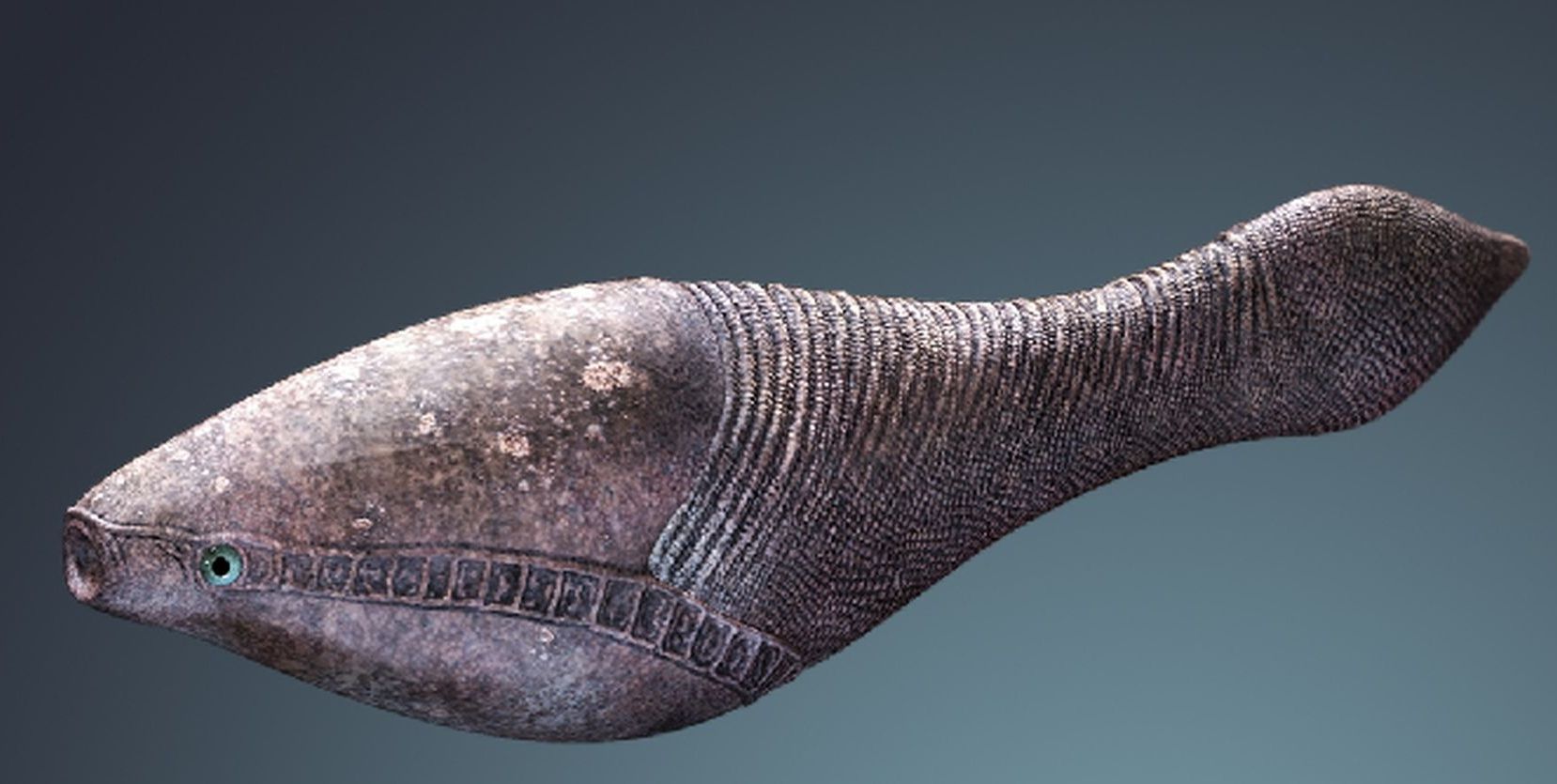 Ordovician Jawless Fish Nobu Tamura On X: "Continuing The Series On