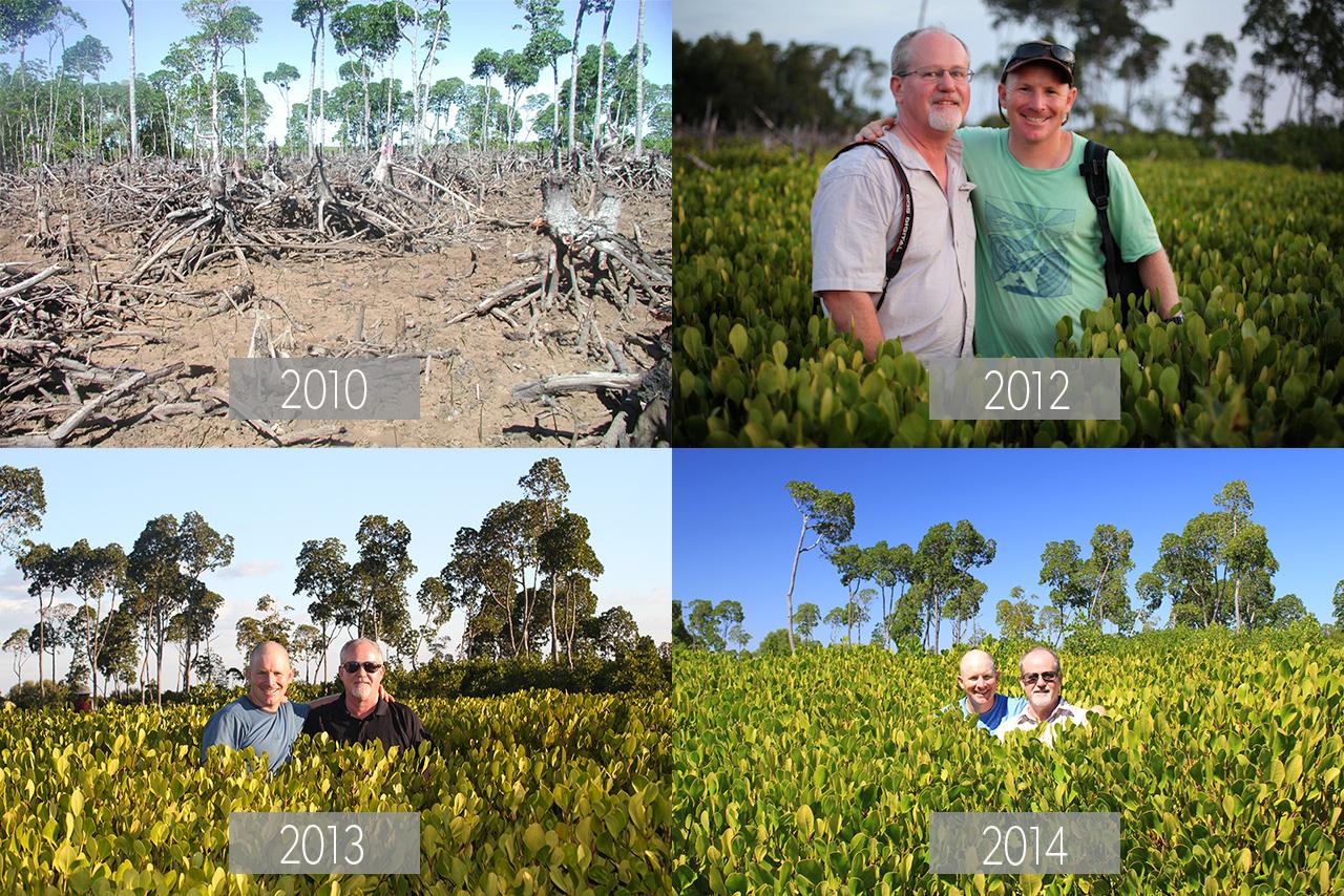 Reforestation Projects Before And After