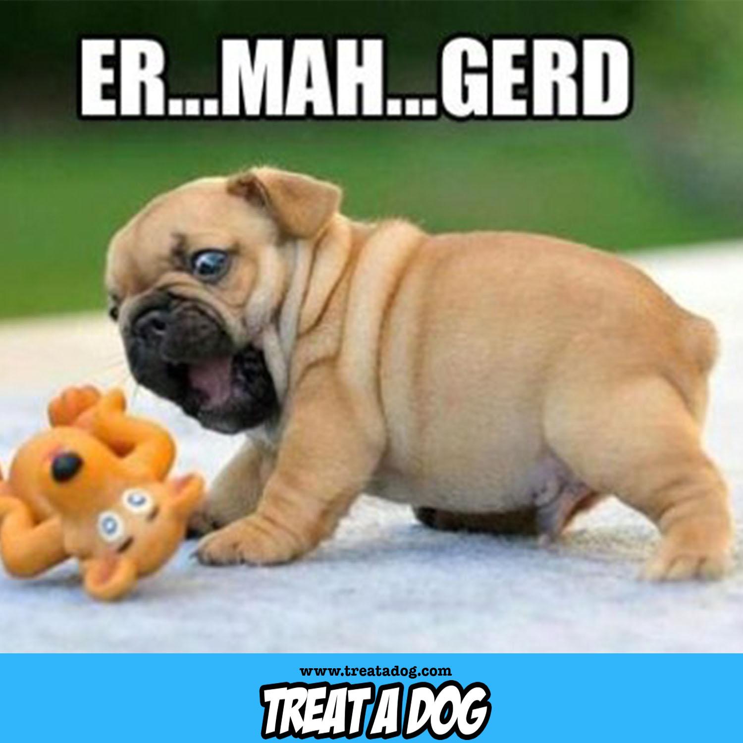 Er Mah Gawd Memes God (me) Gives His Toughest Battles To His Bravest