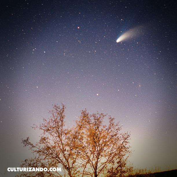 Halley: #UnDíaComoHoy 1910: el cometa Halley pasa cerca de la Tierra ...