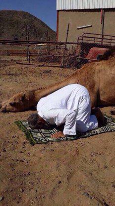 Animals Praying To Allah