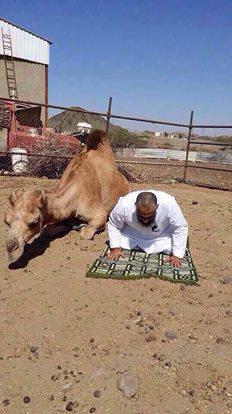 Miracles Of Allah On Animals