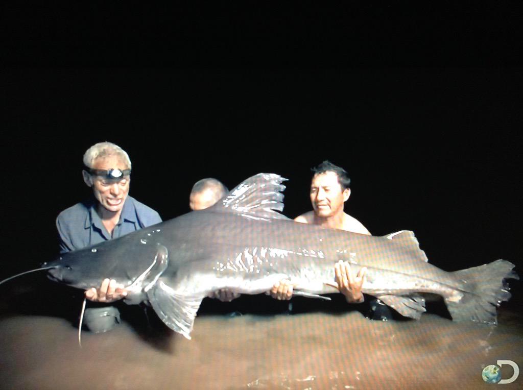 Jeremy Wade Redtail Catfish