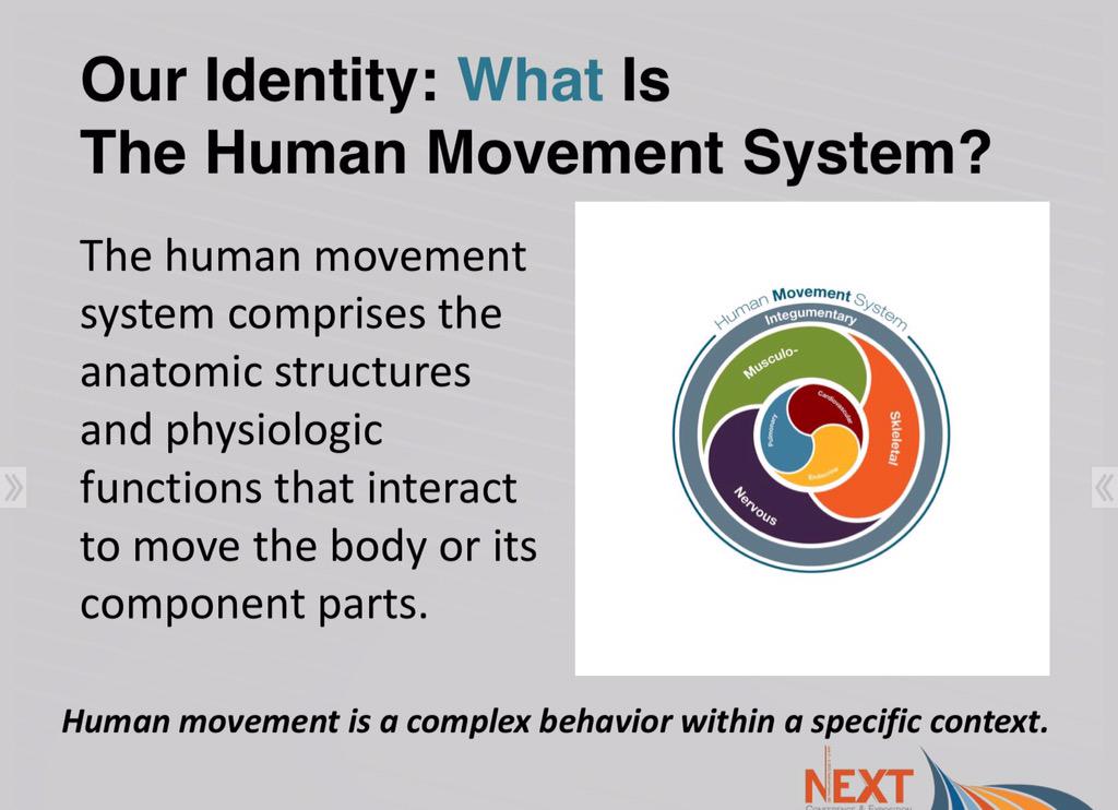 Human Movement System