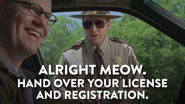 Right Meow Super Troopers