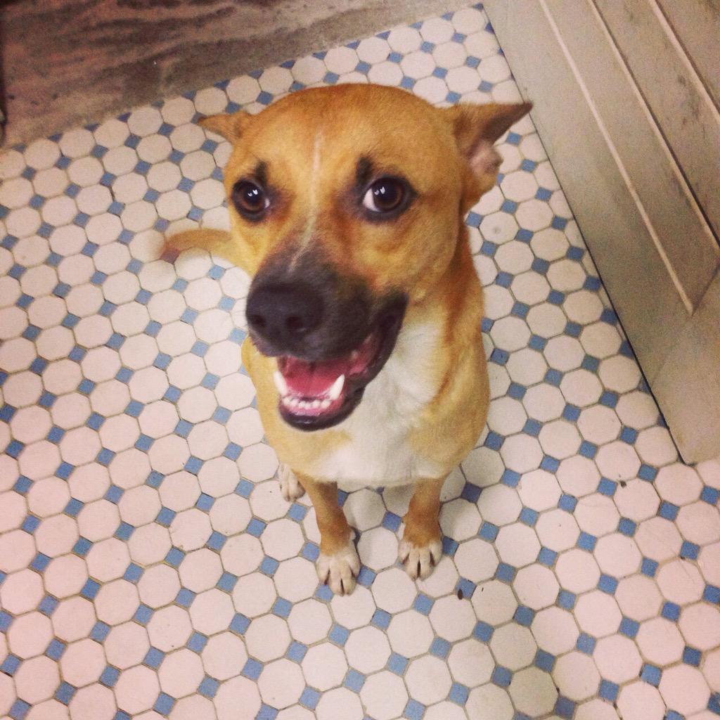 Liminha! produtor: todas as notícias de última hora ao vivo, fotos e ...