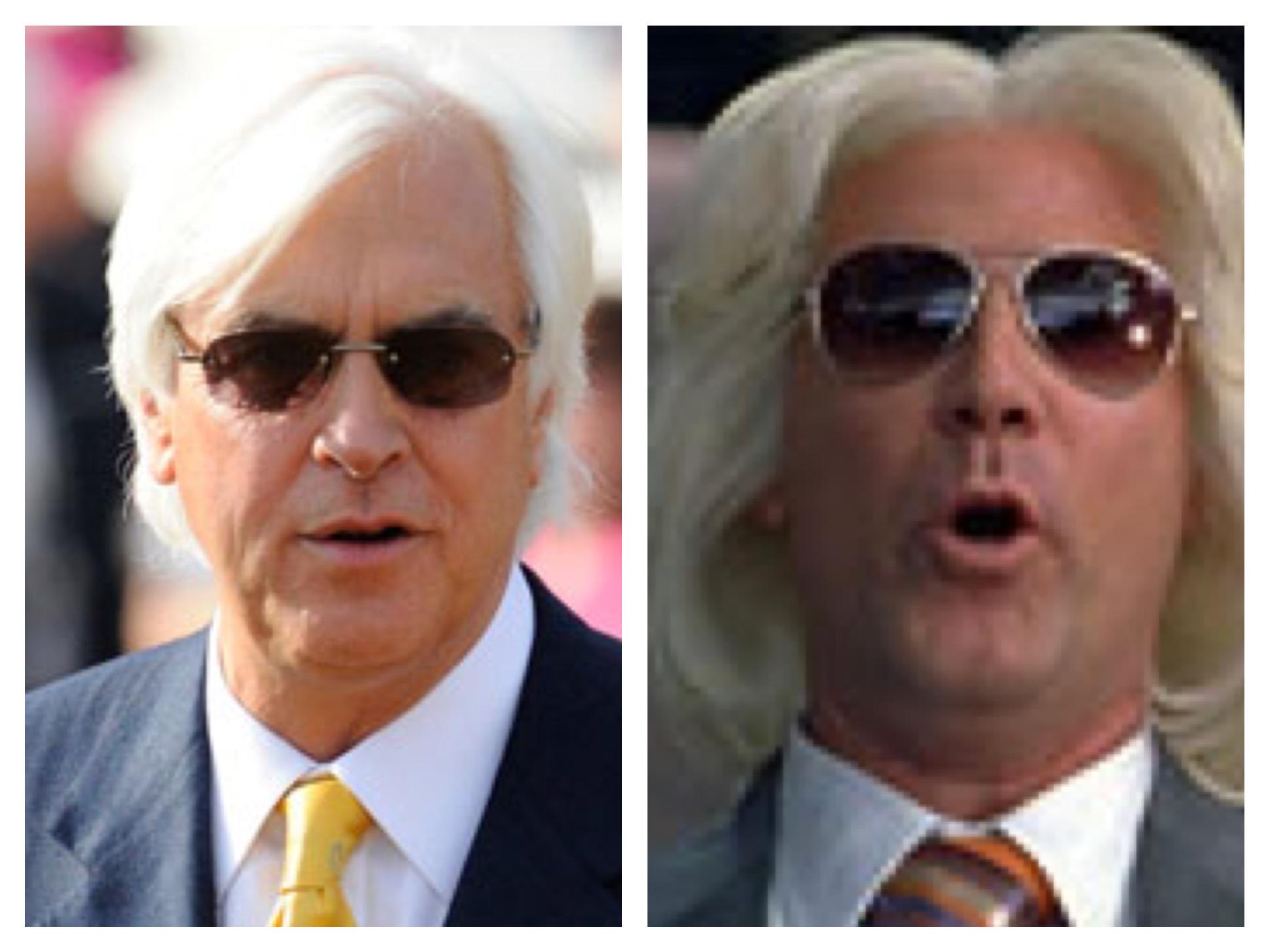 Wig Ashley Schaeffer