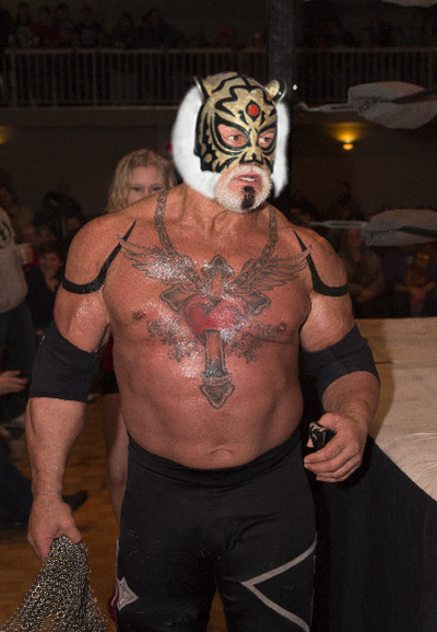 Tiger Mask V Wrestler