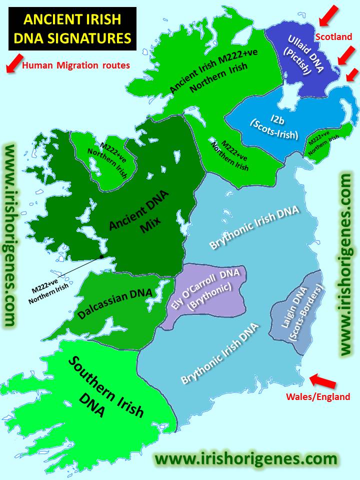 DNA Map of Pre-Norman Ireland : r/ireland