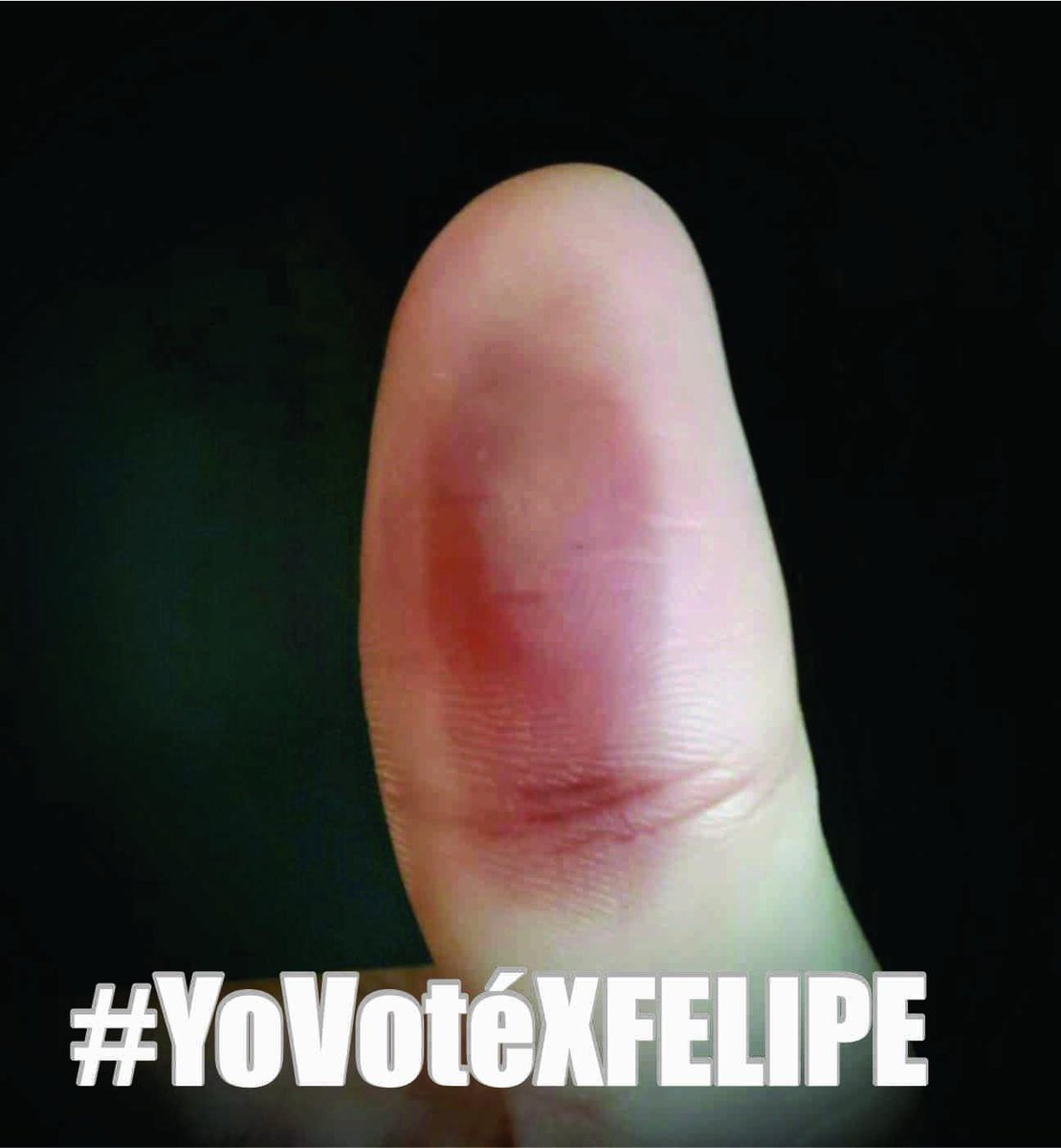 sofia ayala (@sofiaay95) | Twitter