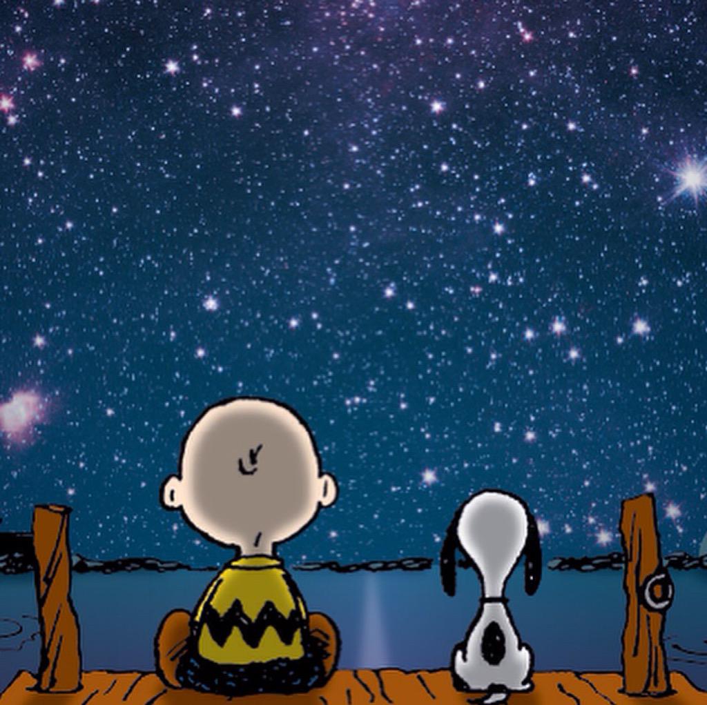1000+ images about Snoopy/Peanuts Night Sleep on Pinterest | Snoopy ...