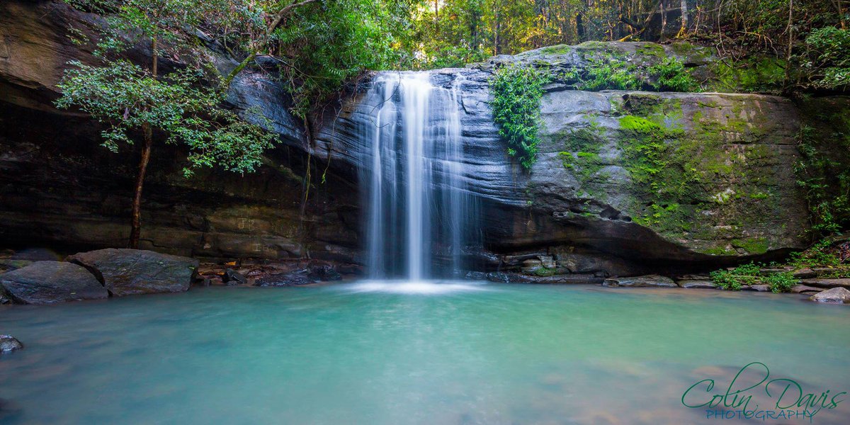 The beautiful Serenity Falls in Buderim. Image by colin davis ...