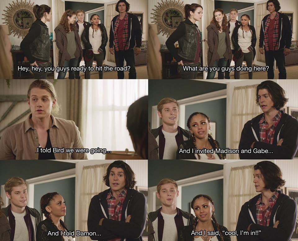 Bird Finding Carter