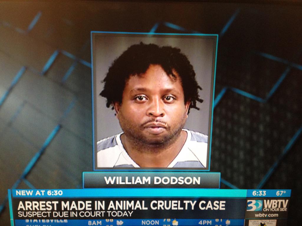 [more] new: suspect is william dodson. dog, caitlyn, will have surgery ...