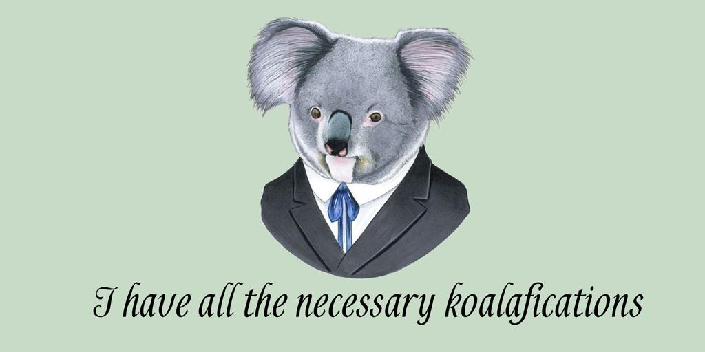 Do You Have The Koalafications Meme