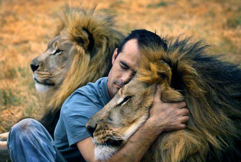 Man and nature in harmony- Kevin Richardson lionwhispererSA c Protect ...